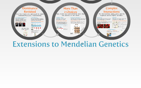 AP Biology - Mendelian Genetics 2 - Extensions to Mendel by Cindy ...