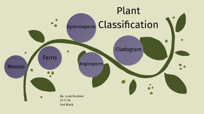 Biology Plant Classification Project by luke rummel on Prezi