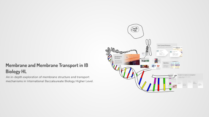 Membrane and Membrane Transport in IB Biology HL by Yumi Hayashi on Prezi
