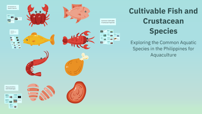 Cultivable Fish and Crustacean Species by Cyrel Ostria on Prezi