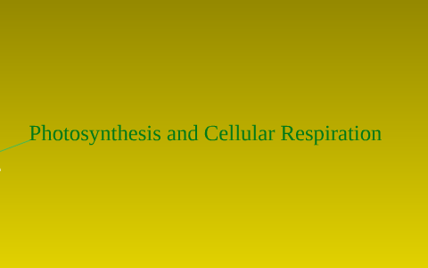 Photosynthesis and Cellular Respiration Webquest by casey schreiner on ...