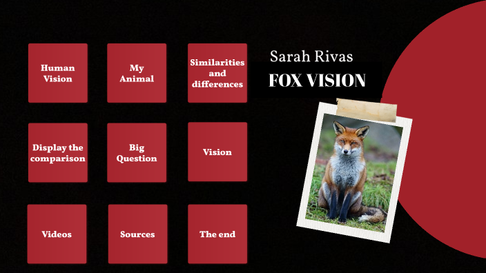 FOX VISION by sarah rivas on Prezi