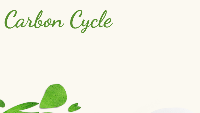 Carbon Cycle Project by Angela Arrebato on Prezi