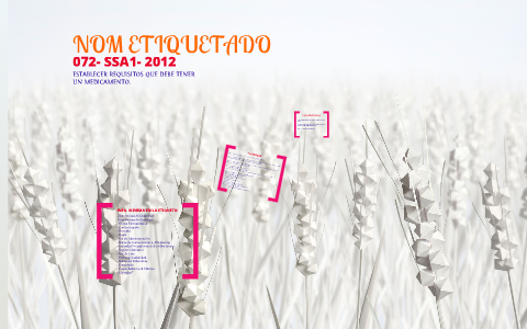 Nom 072 ssa1 2012 ETIQUETADO by Zayra Zamora on Prezi