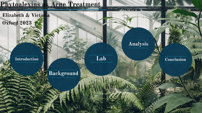 Phytoalexins for Acne Treatment by Elizabeth Dimitrova on Prezi