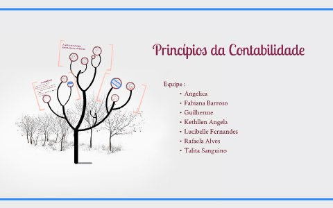 Princípios da Contabilidade by Lucibelle Fernandes