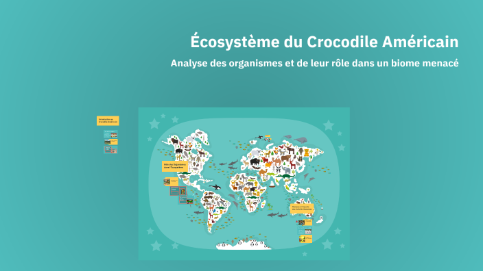 Écosystème du Crocodile Américain by jacob weintraub on Prezi