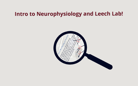Intro to Neurophysiology and Leech Lab! by Cullen Severson on Prezi