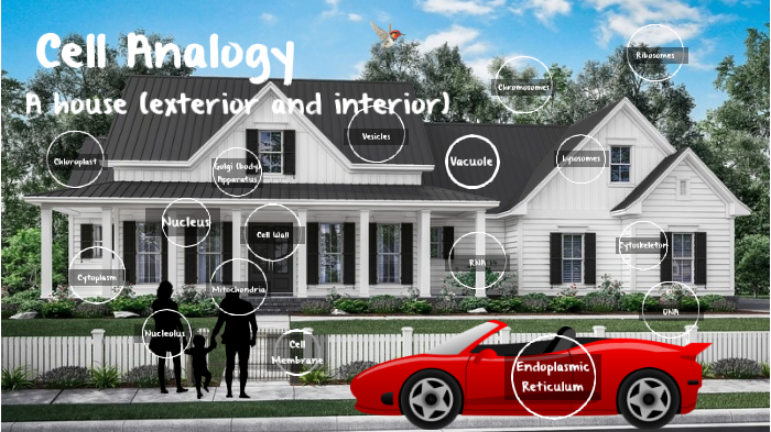 Cell Analogy: House by Sophia Torgerson on Prezi