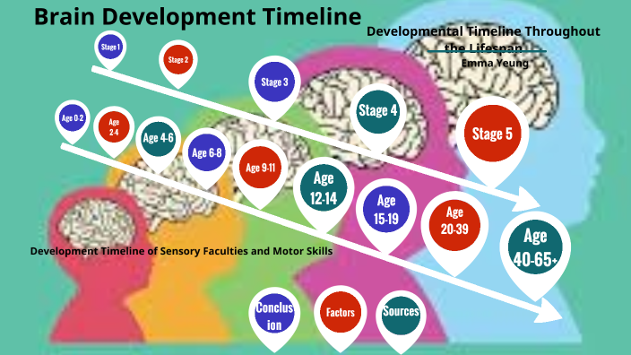 Unit 3-Summative: Developmental Timelines by Emma Yeung on Prezi