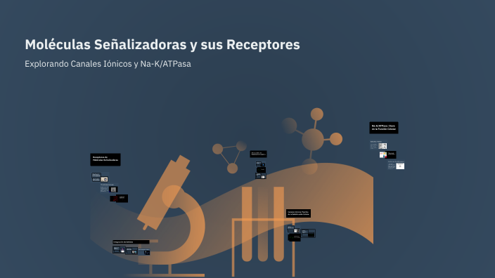 Moléculas Señalizadoras y sus Receptores by Hellen Ivett Soto Castillo ...