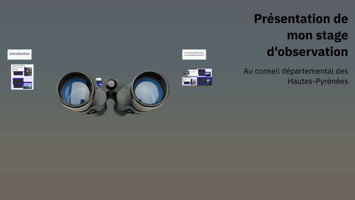 Présentation de mon stage d'observation by Eloïse D on Prezi