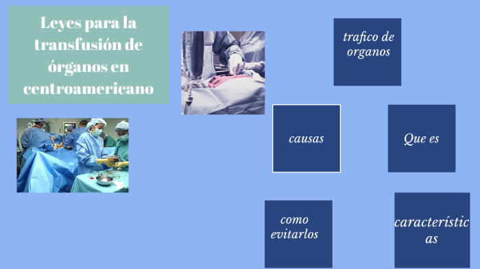 leyes para la transfucion de organos en centro america by andy ...