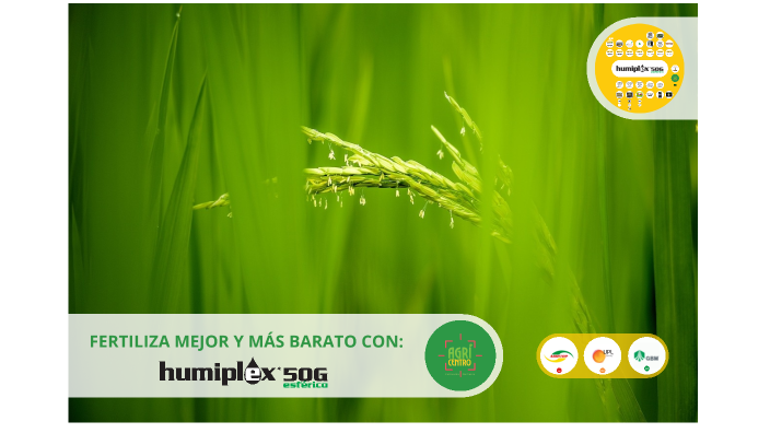 HUMIPLEX by ATILIO MIGUEL ANTÓN VILELA on Prezi