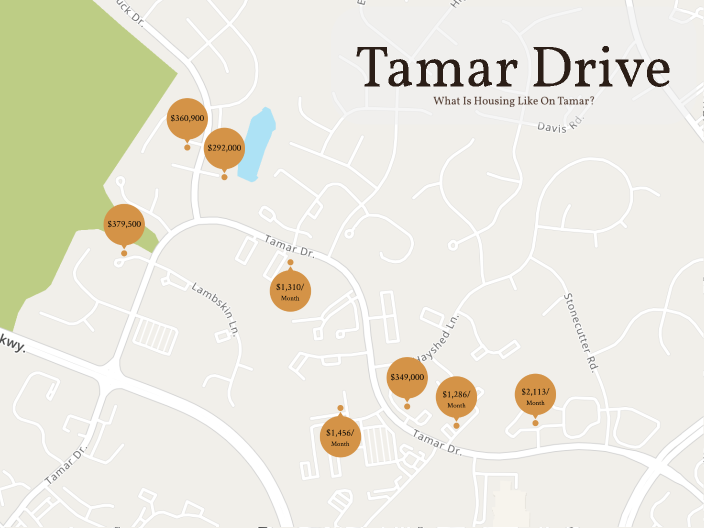 Tamar Drive by Angela Mitchell on Prezi