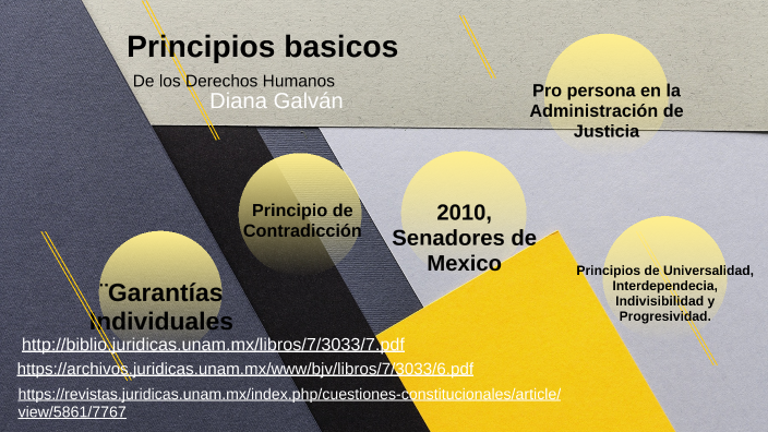 Principios básicos de los derechos humanos by Diana Abril Galvan Ortega ...