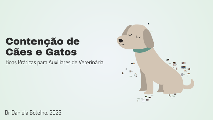 Contenção de Cães e Gatos by Daniela Botelho on Prezi