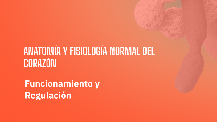 ANATOMIA Y FISIOLOGIA NORMAL DEL CORAZÓN by Mónica Castellanos on Prezi