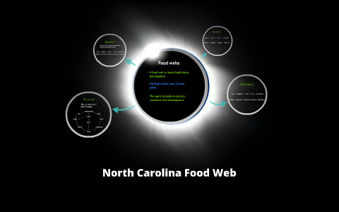 North Carolina Food Web By Candace Hernando On Prezi