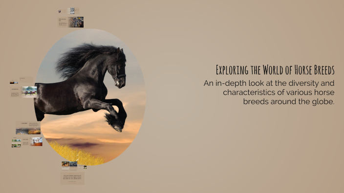 Exploring the World of Horse Breeds by Teaghan Brown on Prezi