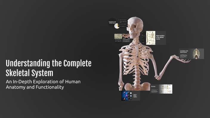 Understanding the Complete Skeletal System by Nada Walid on Prezi