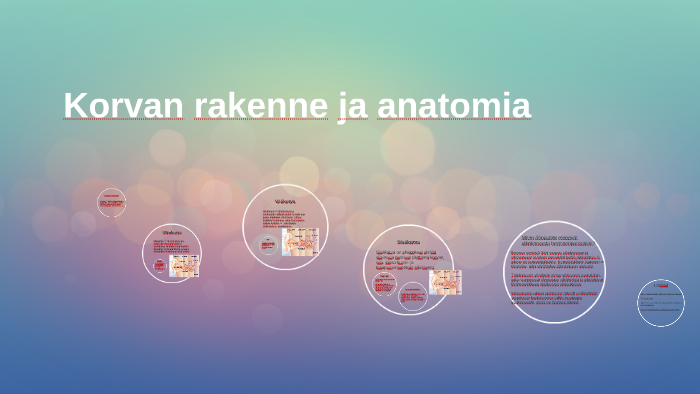 Korvan rakenne ja anatomia by Saga Halonen on Prezi