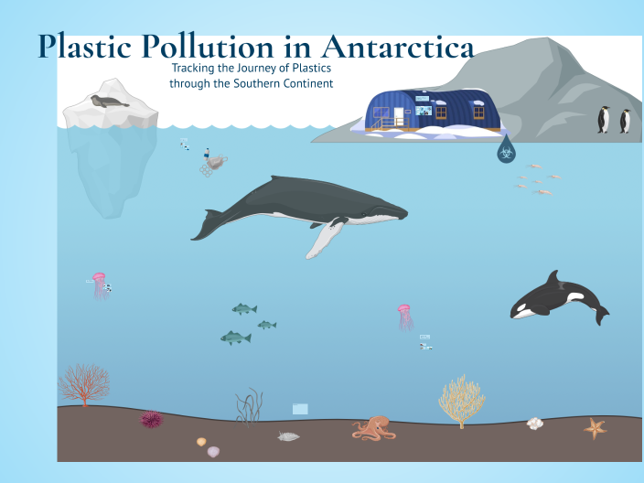 Plastic Pollution in Antarctica by Samantha Hurst on Prezi