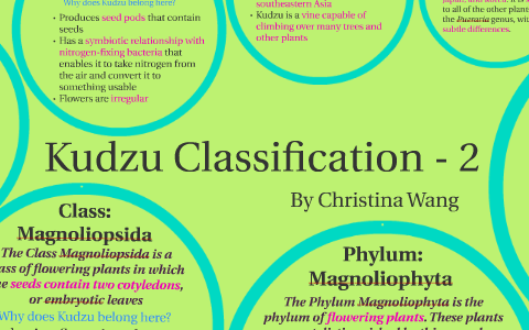 Kudzu Classification by Christina Wang on Prezi