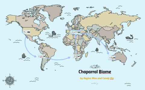 Chaparral Biome by Regina Mao on Prezi