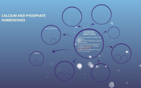 CALCIUM AND PHOSPHATE HOMEOSTASIS by Khairul Noordin on Prezi