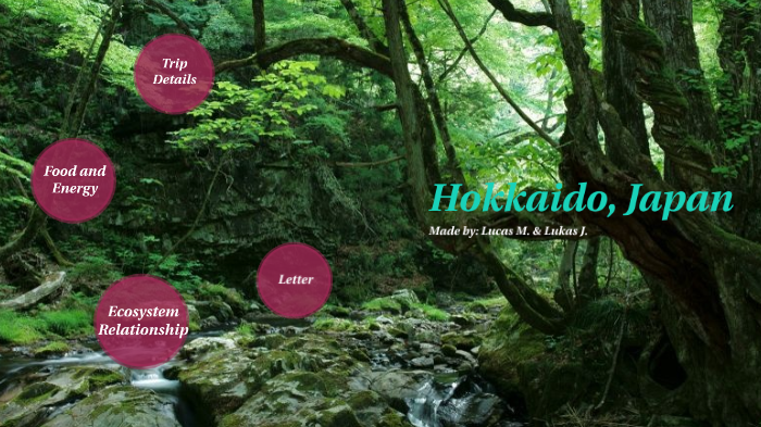 Temperate Forest in Japan by Lucas McCall on Prezi