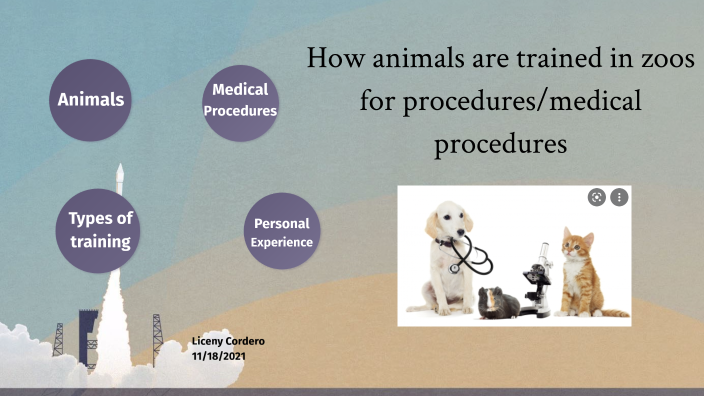 How zoos train animals for procedures by Liceny Cordero on Prezi