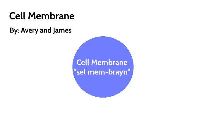 Avery & James Cell Membrane by Avery Oliver on Prezi