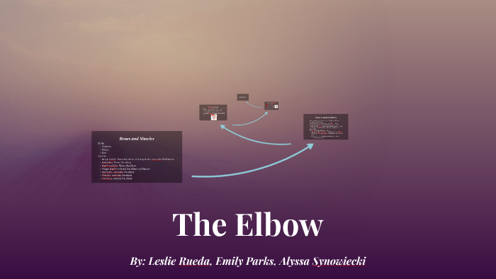 The Elbow by Leslie Rueda on Prezi
