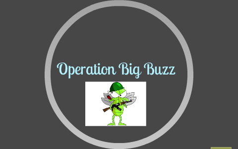 Operation Big Buzz by Sarah Best on Prezi