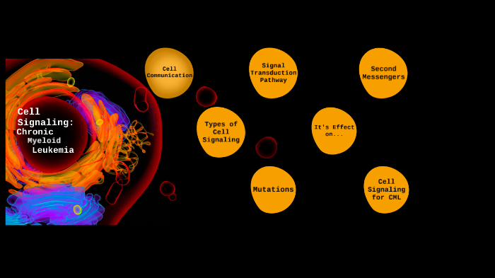 Cell Signaling: Chronic Myeloid Leukemia by Lainie Rapp on Prezi