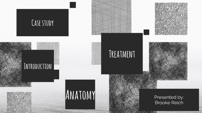 Case study by Brooke Reich on Prezi