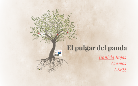 El pulgar del panda by Daniela Kozisek on Prezi