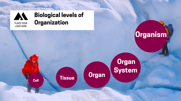 cell model map by Brendan Crowder on Prezi