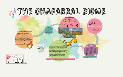 The Chaparral Biome by Ireen Parker on Prezi