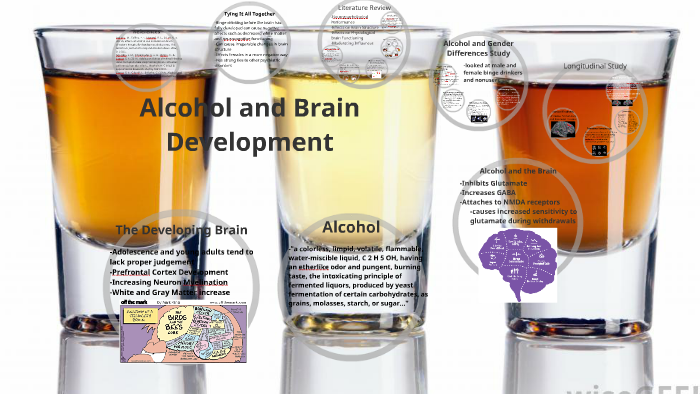 Alcohol and Brain Development by Kristen McFadzen on Prezi