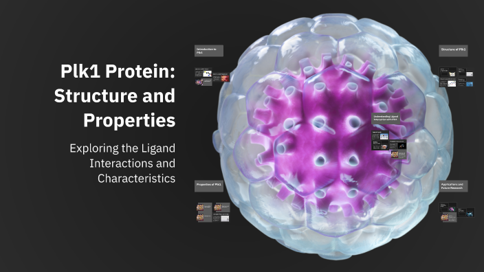 Plk1 Protein: Structure and Properties by Shahanas Tk on Prezi