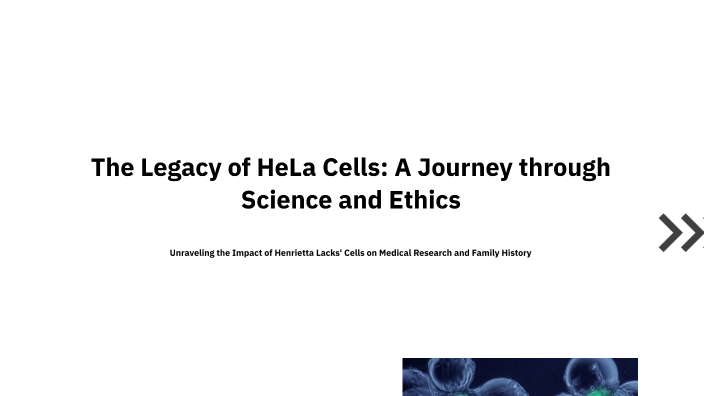 The Legacy of HeLa Cells: A Journey through Science and Ethics by Amaya ...