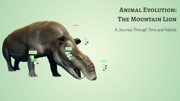 Animal Evolution: The Mountain Lion by Cole Niemeyer on Prezi