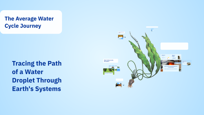 The Average Water Cycle Journey by Jackson Doyle on Prezi