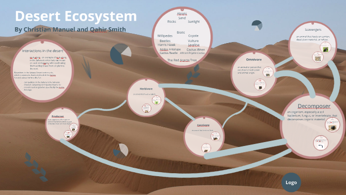 Desert Ecosystem by christian manuel on Prezi