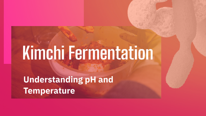 Kimchi Fermentation by Nguyen Ngoc Quynh Anh on Prezi