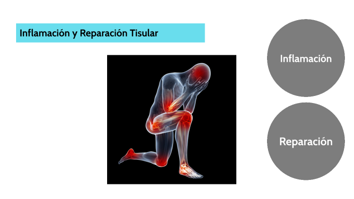 Inflamación y Reparación Tisular by mary ulloa on Prezi