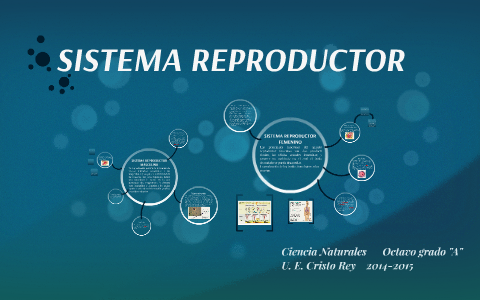 Función reproductora by Armando Falcones on Prezi