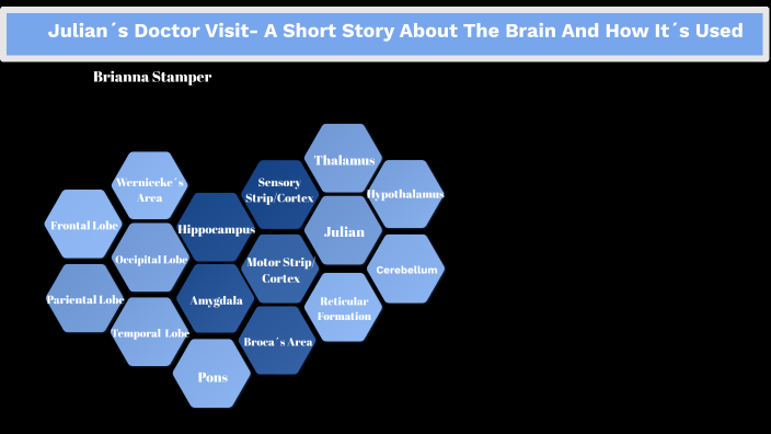 Julian´s Doctor Visit- A Short Story About The Brain and How It´s Used ...